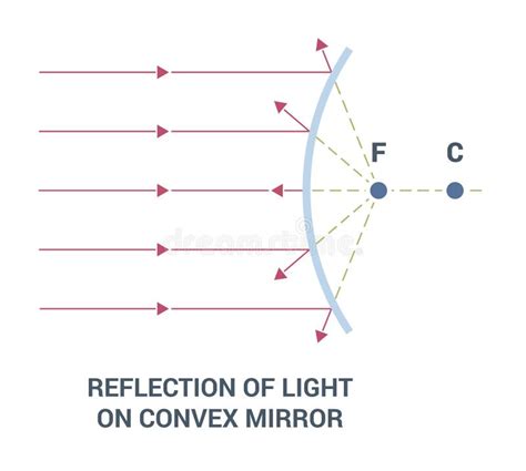 Reflection Of Light On A Convex Mirror In Various Contexts And