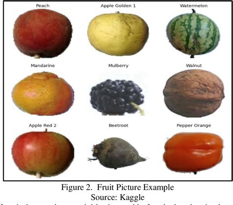 Figure From Advancing Fruit Image Classification With State Of The Art Deep Learning