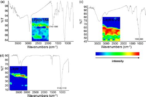 FTIR Spectra Obtained From The Higher Intensity Area Indicated In Red Download Scientific