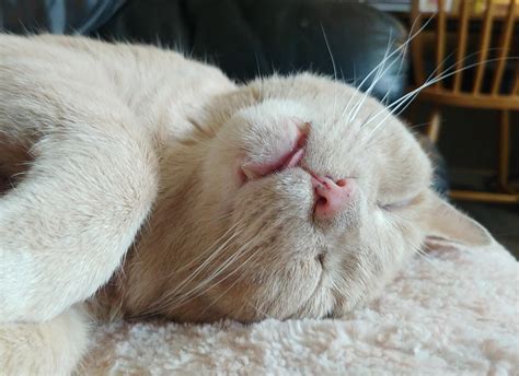 Sleeper Agent 007 Album On Imgur Sleeper Agent 007 Album On Imgur