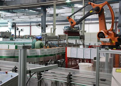 Carton Packing System Sunswell