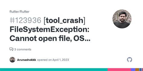 Toolcrash Filesystemexception Cannot Open File Os Error The
