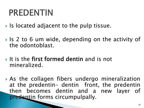 Ppt Dentin Powerpoint Presentation Free Download Id 835637