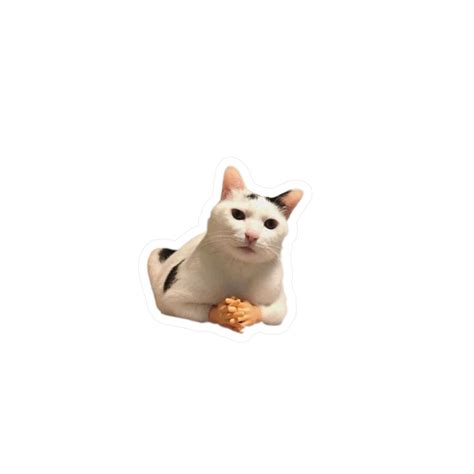 Cat Meme Sticker Meme Sticker Sticker Laptop Sticker Water Etsy