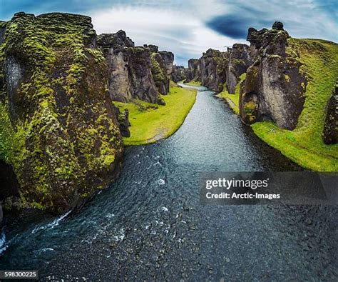 Moss Bed Photos And Premium High Res Pictures Getty Images