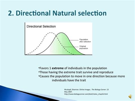 Module 12 Lesson 2 Ppt