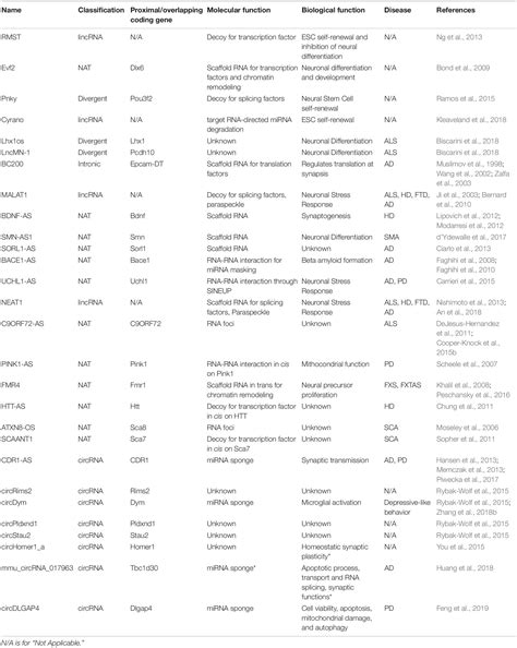 Frontiers Non Coding Rnas In Nervous System Development And Disease