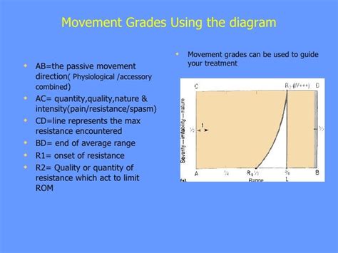 What Is Accessory And Physiological Movements At Sarah Geneff Blog