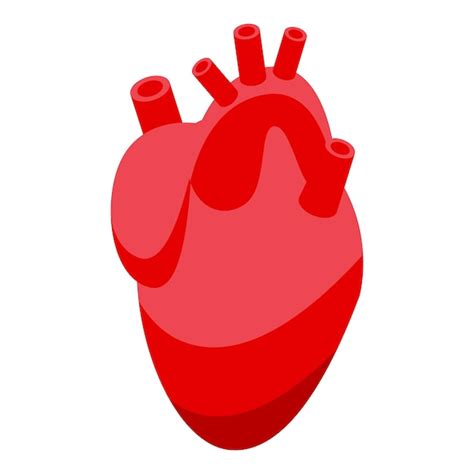 Premium Vector Vector Illustration Of A Stylized Red Human Heart