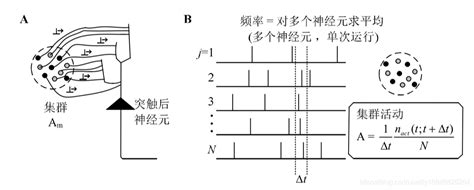 snn系列｜编码篇 1 频率编码 csdn博客