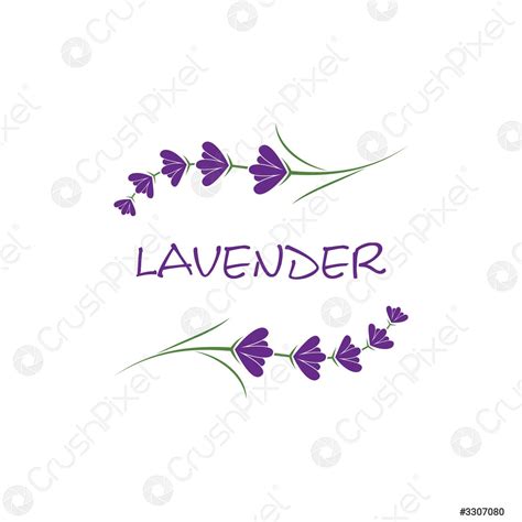 Lavender Logo Stock Vector 3307080 Crushpixel