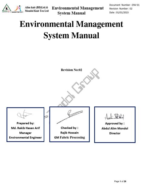 Ems Strategy Pdf Audit Risk