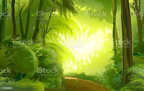 상세한 숲 풍경입니다 로드 벡터 배경 이미지입니다 아름다운 여름이나 봄 풍경 유럽 나무 열대 식물 정글 장면의 세부 일러스트