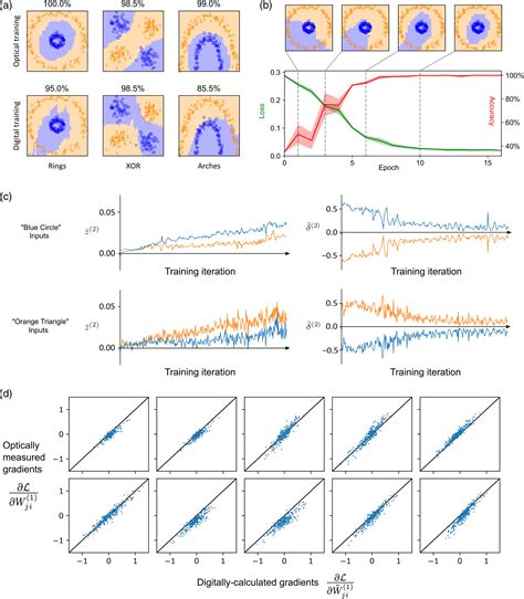 Training Neural Networks With End To End Optical Backpropagation