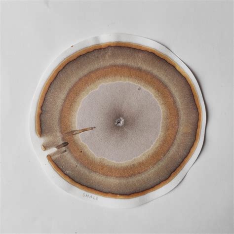 Chromatographies Cristina Mariani