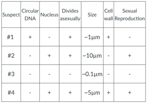 Biol Lecture 14 Note Review Flashcards Quizlet
