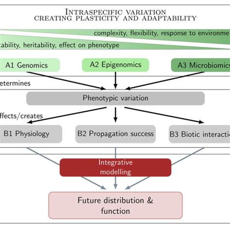 Realistic Predictions Of Future Distributions And Ecosystem Functions Download Scientific