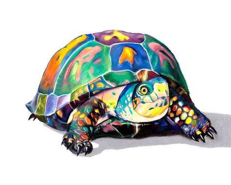 Candy Turtle Greeting Card Set Blue Lark Designs