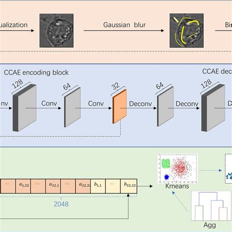 Flow Chart Of Main Method The First Step Of The Model Is Cell Image Download Scientific