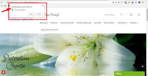Cara Setting Plugin Onesignal