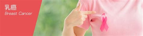 专门针对her 2（＋）阳性乳腺癌的药物总结 知乎
