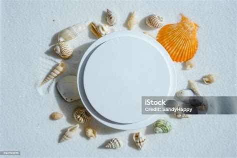 쉘 모양 받침대 제품 배경 연단 조개껍데기와 그림자가 있는 제품 디스플레이는 복사 공간 이미지로 제품 및 비즈니스 개념을 전시하는 데 이상적입니다 0명에 대한 스톡 사진 및