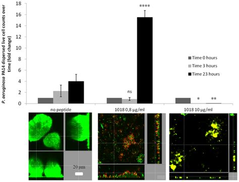 Concentration Dependent Modulation Of Biofilm Development By