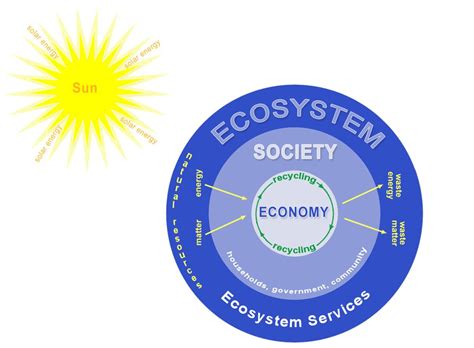 Environmental Sciences And Studies