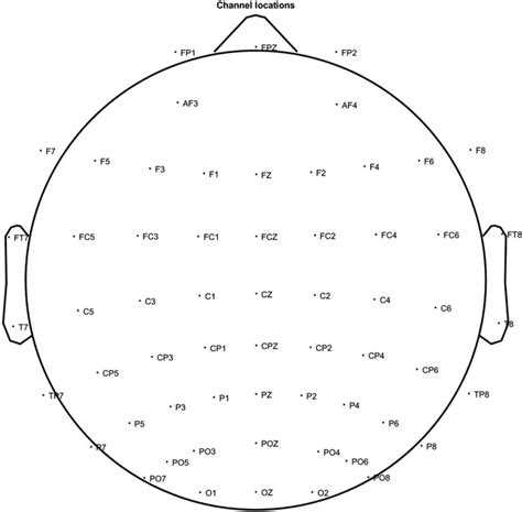 Electroencephalography Eeg Electrode Placement The Electrode