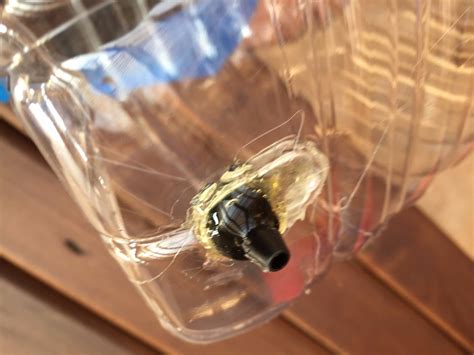 Ardufarmbot Part 2 Remote Station An Iot Implementation 11 Steps