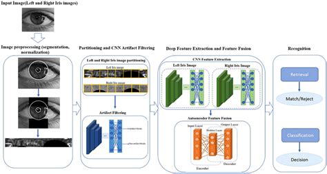The Overview Of The Proposed System Retrieval And Classification