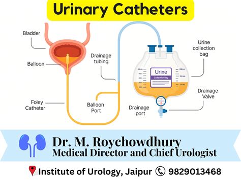 Solifenacin Medicine For Overactive Bladder