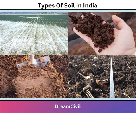 Types Of Soil In India Formation And Types Of Soils In India Dream Civil
