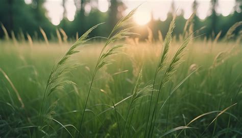 Download Ai Generated Wild Grass Forest Royalty Free Stock
