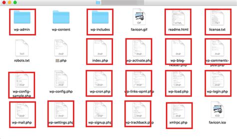 Beginners Guide To Wordpress File And Directory Structure
