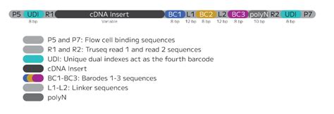 What Are The Run Configuration And Sequencing Requirements For BCR