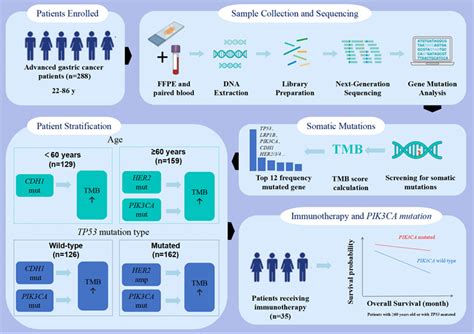 pik3ca somatic mutations as potential biomarker for immunotherapy in