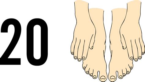 Download How To Memorize Numbers Count To 20 Using Fingers And Toes Clipartkey