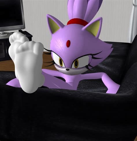 Blaze The Cat Feet By Nosemanssss On Deviantart