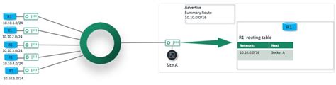 Working With Bgp Summary Routes Cato Learning Center