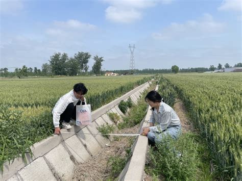 江苏省审计厅 图片新闻 灌南县审计局关注高标准农田建设资金使用绩效