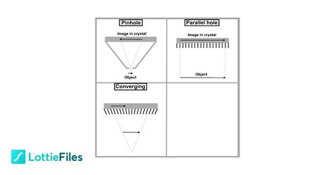 Gamma Camera Types Of Collimators By Joana Barreira Lottiefiles