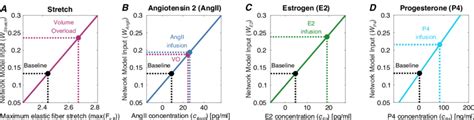 linear transfer functions for network model inputs lines represents
