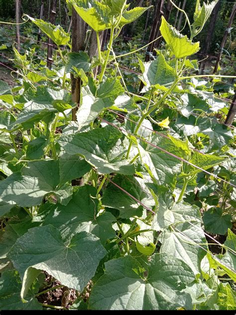 Kamal Kishor On Linkedin Company Variety