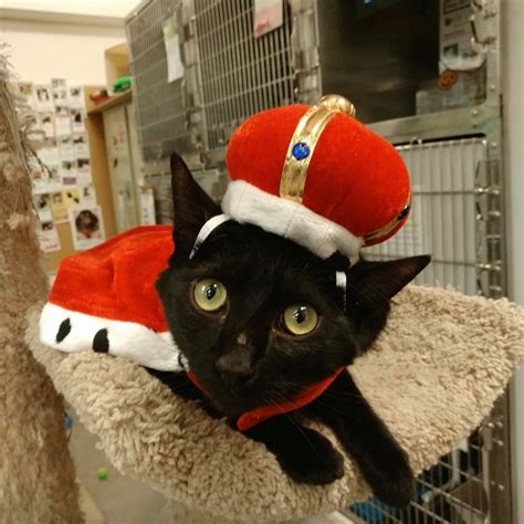 Greg Munck Happy Birthday Kymbry Robinson Munck The Most Facebook