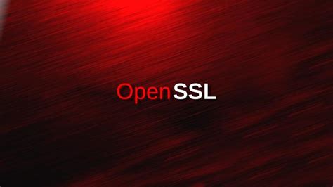 The Cyber Security Hub™ On Linkedin Openssl Fixes Two High Severity Vulnerabilities What You