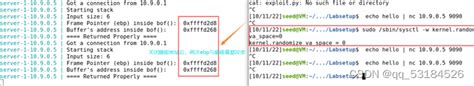 Seed 缓冲区溢出攻击seed 缓冲区溢出 Csdn博客