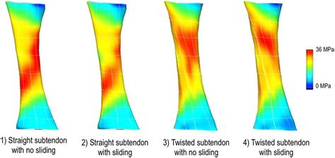 Comparison Of Stress Distribution Pattern For Different Sub Tendon Download Scientific Diagram