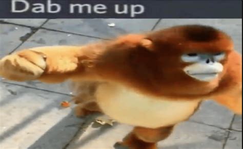 Dab Me Up Meme All About The Viral Meme Brunchvirals