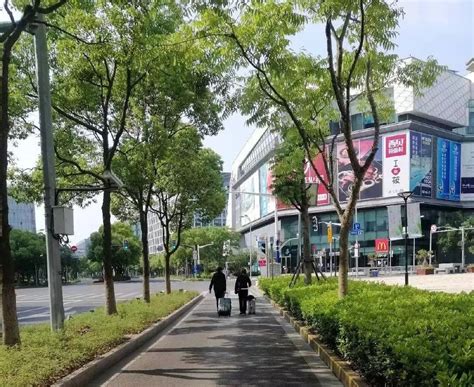 那天被称为“离沪潮”，有人为了回家徒步几个小时到虹桥火车站 诸事要记 日拱一卒